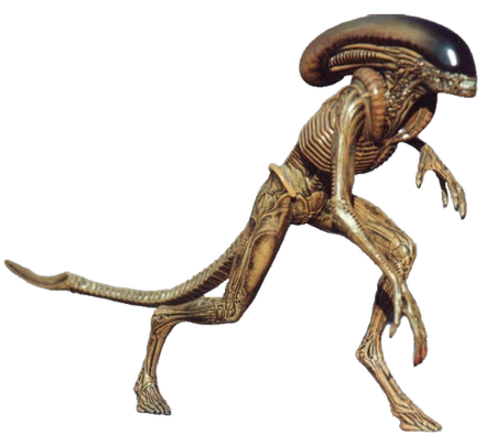 Xenomorph | VS Battles Wiki | Fandom