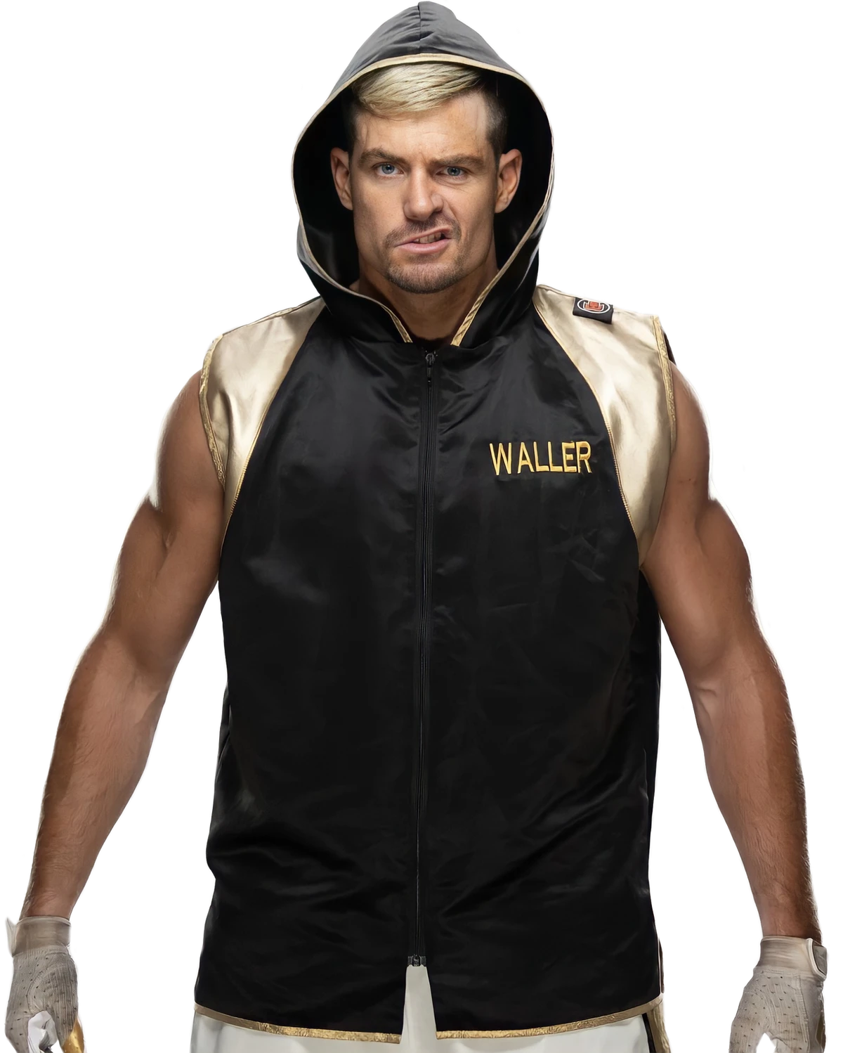 Grayson Waller (WWE) | VS Battles Wiki | Fandom