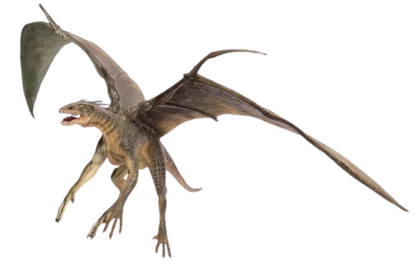 Alien Dragons (Evolution 2001) | VS Battles Wiki | Fandom