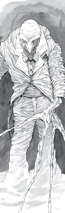 Wrinkle | VS Battles Wiki | Fandom