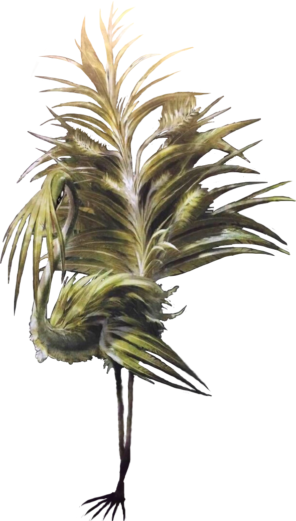 Fern bird | VS Battles Wiki | Fandom