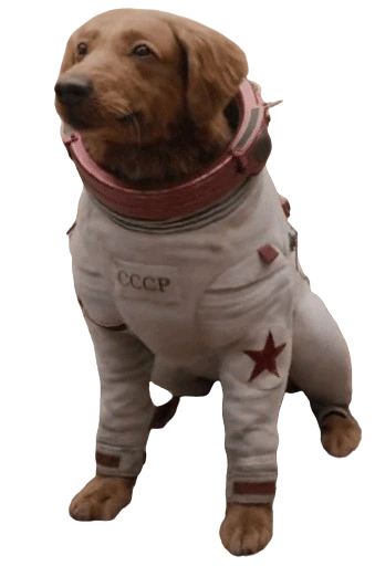 User blog:King Dom470/Cosmo (Marvel Cinematic Universe) | VS Battles ...