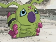 Wormmon (Ken Ichijouji) | VS Battles Wiki | Fandom