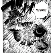 Touhou Powers and Abilities Explanation | VS Battles Wiki | Fandom