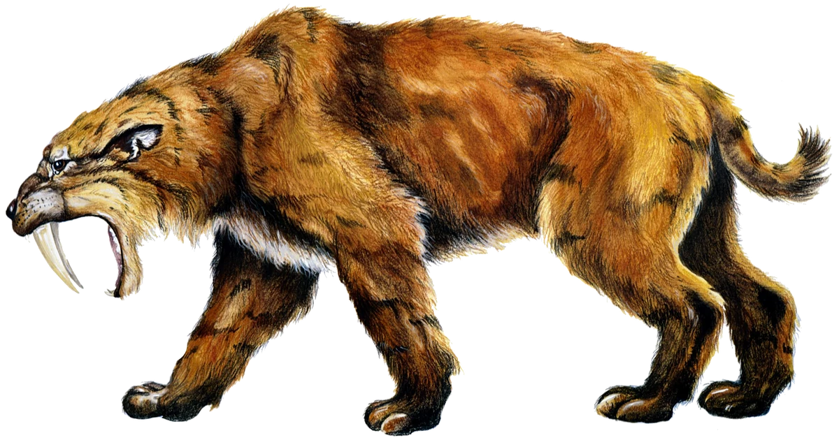 Smilodon | VS Battles Wiki | Fandom
