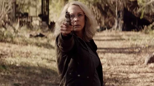Laurie Strode (Green Timeline) | VS Battles Wiki | Fandom