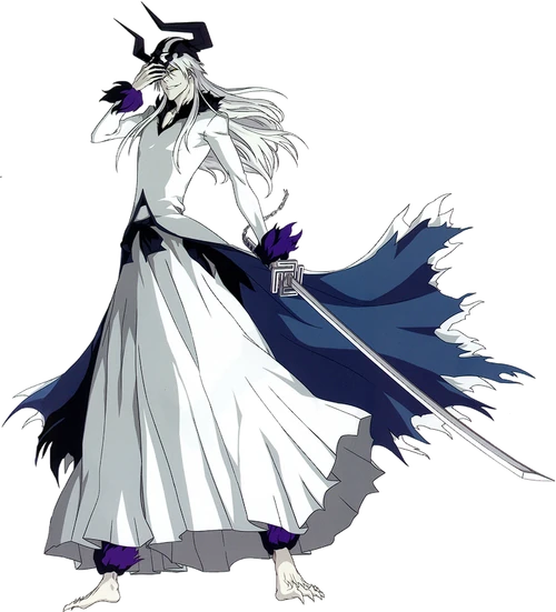 User blog:Guacamolefletcher/zangetsu profile | VS Battles Wiki | Fandom