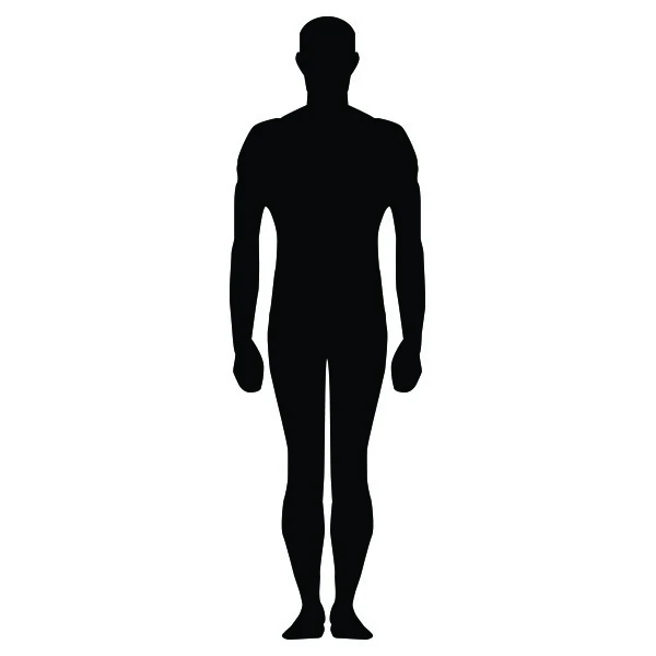 User blog:H3110l12345I20/The Average Human (VS Battles Profile) | VS ...