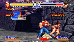 Terry Bogard (Fatal Fury) | VS Battles Wiki | Fandom