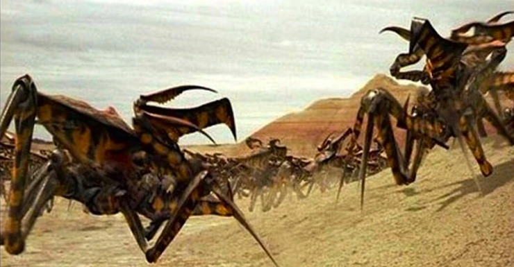 Starship Troopers Bugs Attacking