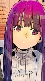 Fern (Frieren: Beyond Journey's End) | VS Battles Wiki | Fandom