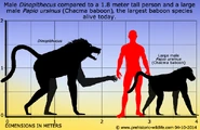 Dinopithecus | VS Battles Wiki | Fandom
