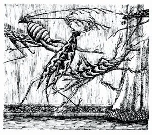 The Insects (The Insect God) | VS Battles Wiki | Fandom