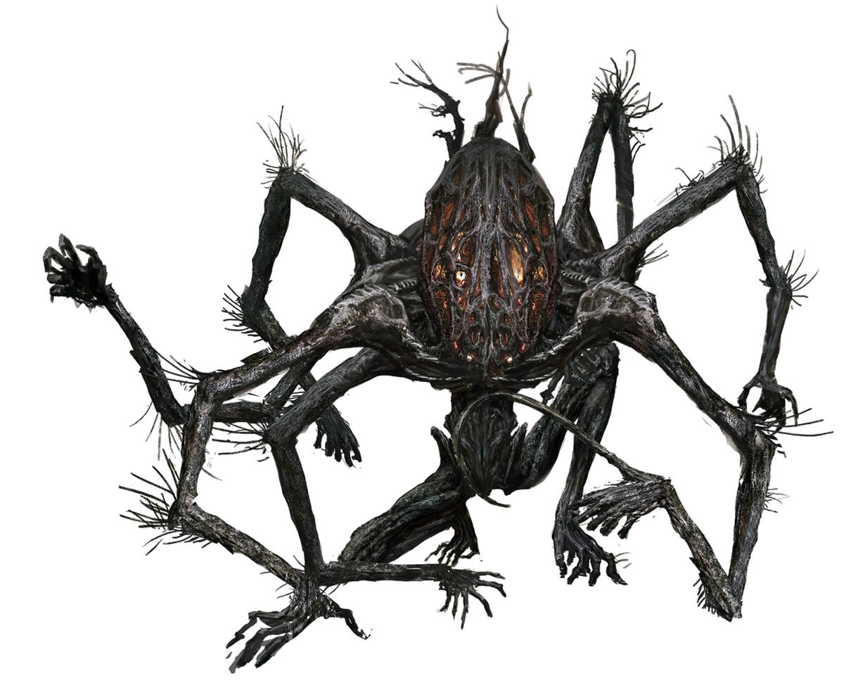 Amygdala Bloodborne Wiki 1000x562