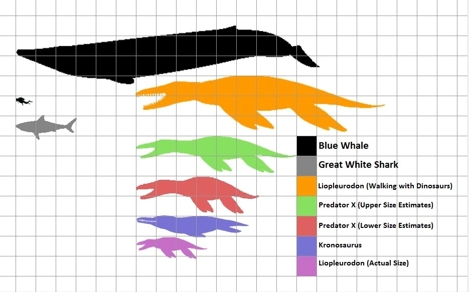 Liopleurodon Size Chart