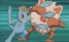 Machamp | VS Battles Wiki | Fandom