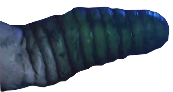 Giant Worm (Goosebumps Books) | VS Battles Wiki | Fandom