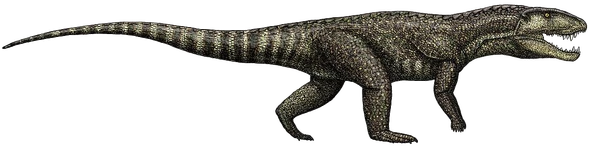 Postosuchus | VS Battles Wiki | Fandom