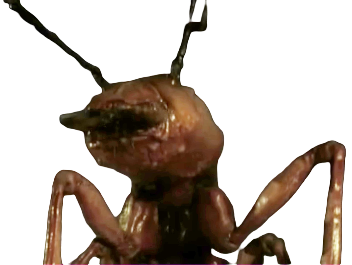 Awesome Ants | VS Battles Wiki | Fandom