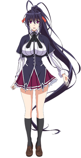 Akeno Himejima | VS Battles Wiki | Fandom