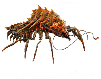 Endopede | VS Battles Wiki | Fandom