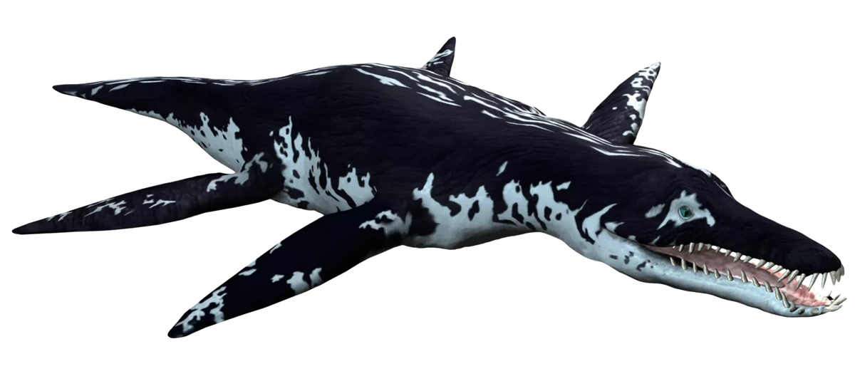 Liopleurodon (The Real World) | VS Battles Wiki | Fandom