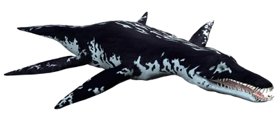 Liopleurodon (The Real World) | VS Battles Wiki | Fandom