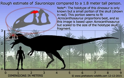 User blog:TheHeadlessGlen/Basic Facts and Stats of Sauroniops ...