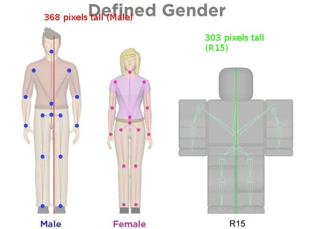 User blog:Zanybrainy2000/Scaling the Robloxian to a human male/the ...