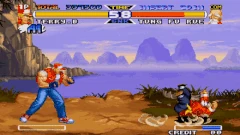 Terry Bogard (Fatal Fury) | VS Battles Wiki | Fandom