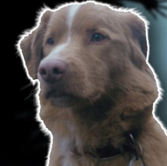 Good Boy (Verse) | VS Battles Wiki | Fandom
