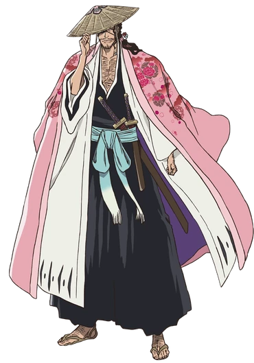 Shunsui Kyoraku | VS Battles Wiki | Fandom