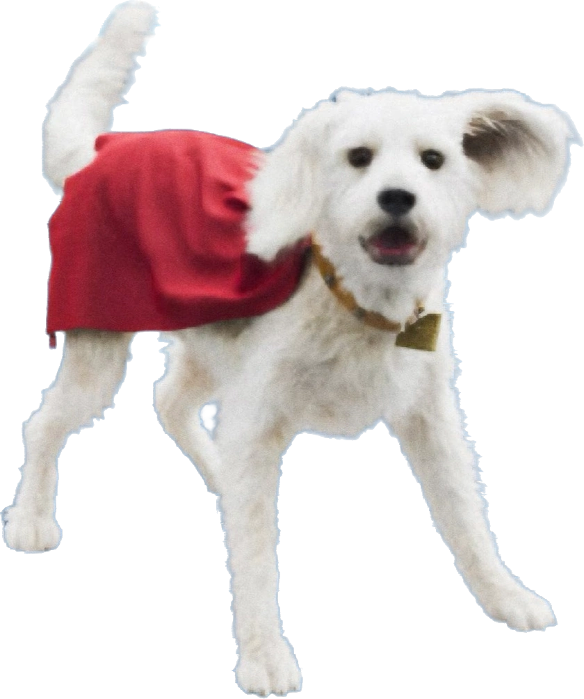 Krypto vs Homelander | VS Battles Wiki Forum