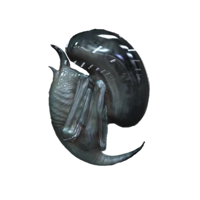 User blog:Nuhuhnuhuh/praetomorph | VS Battles Wiki | Fandom