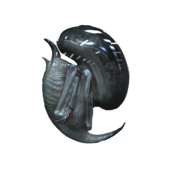 User blog:Nuhuhnuhuh/praetomorph | VS Battles Wiki | Fandom