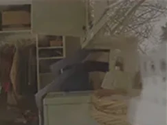 Woodcrawler (Gemini Home Entertainment) | VS Battles Wiki | Fandom