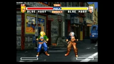 Blue Mary (Fatal Fury) | VS Battles Wiki | Fandom