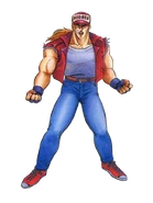 Terry Bogard (Fatal Fury) | VS Battles Wiki | Fandom