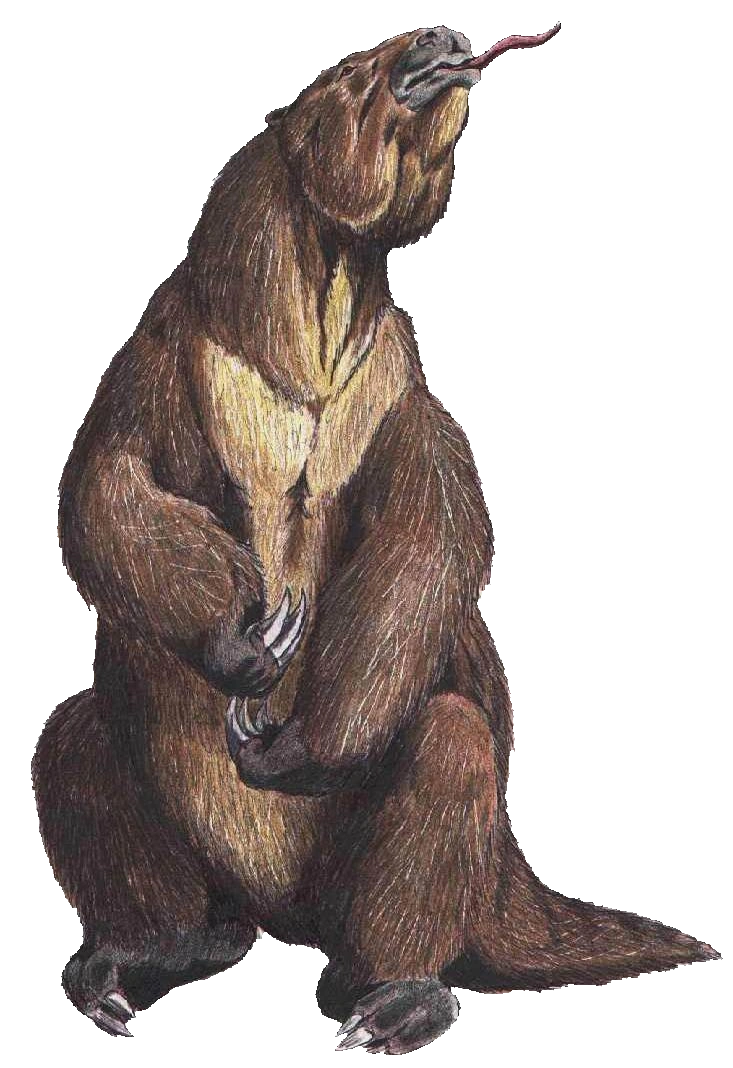 Megatherium (Real World) | VS Battles Wiki | Fandom