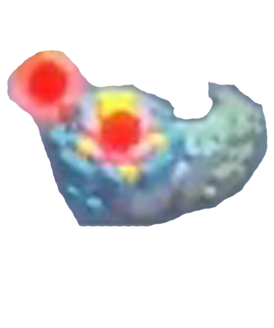 Slugshroom | VS Battles Wiki | Fandom