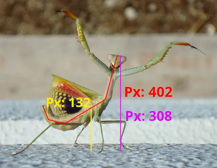 User blog:Agnaa/Drill Hole in my Brain - Giant Enemy Mantis | VS ...