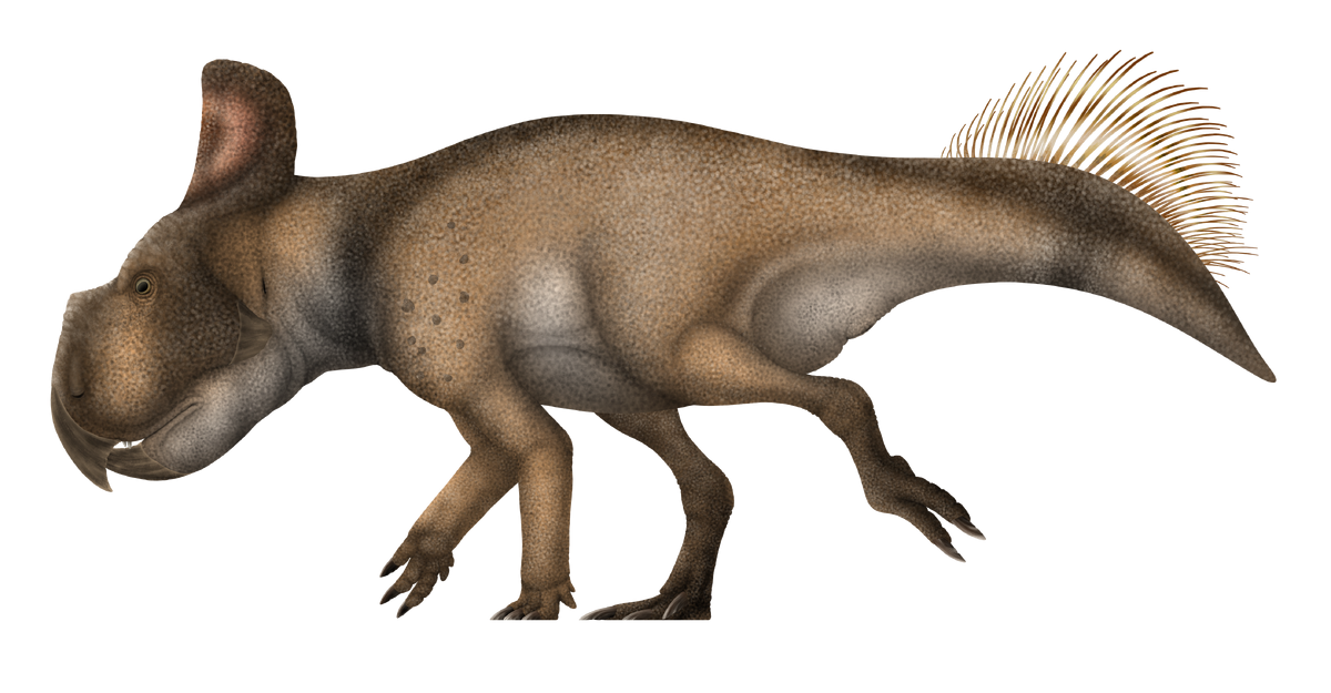 Protoceratops Vs Battles Wiki Fandom