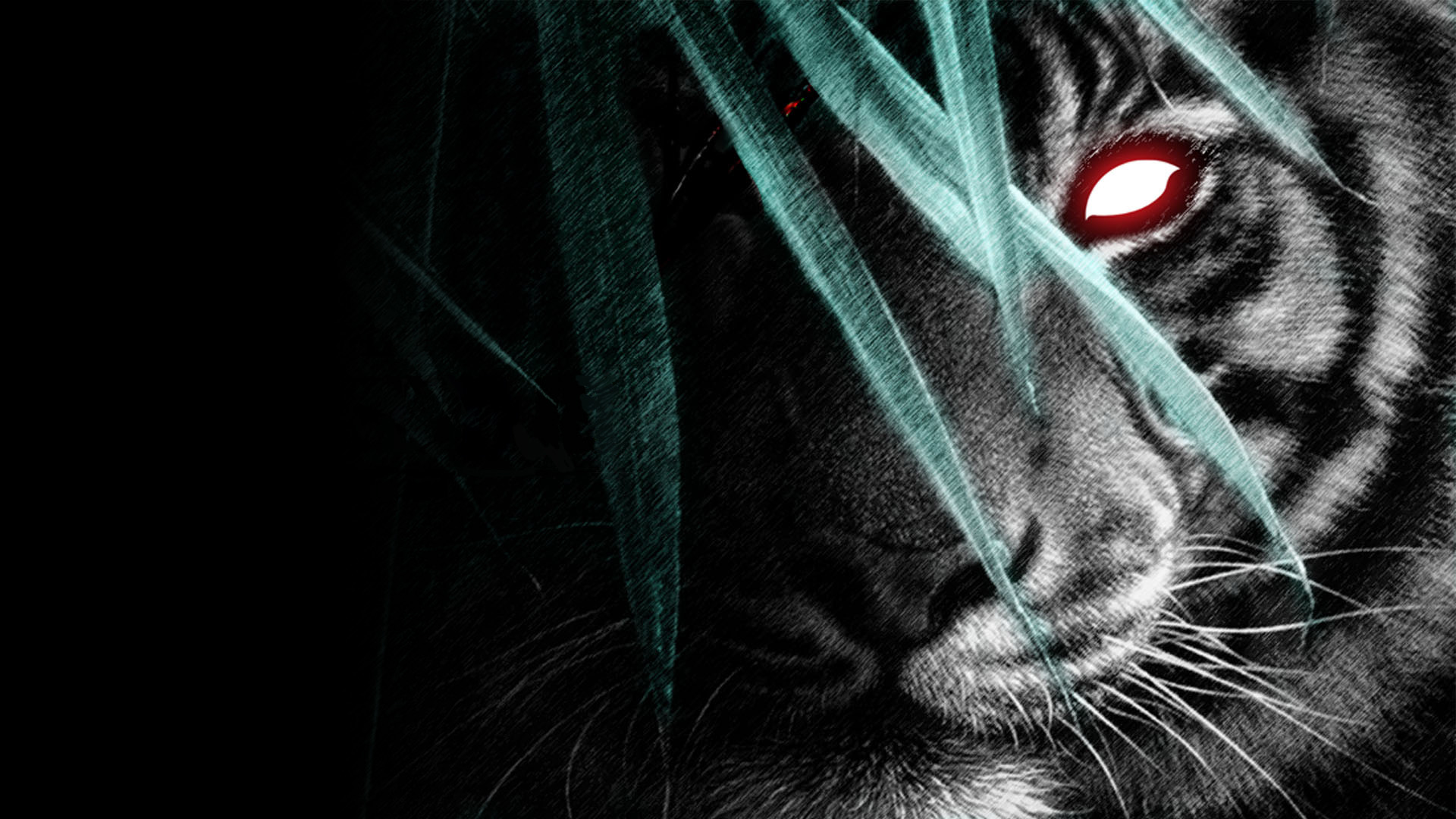 All Black Tiger