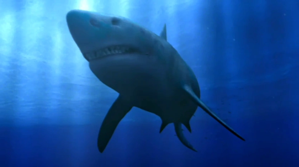 Megalodon (Shark Week) | VS Battles Wiki | Fandom