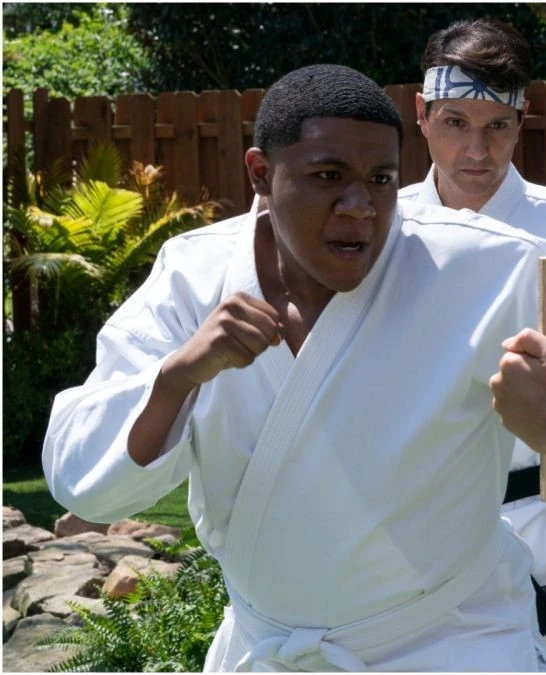 User blog:Kyleb79/Chris (Cobra Kai) | VS Battles Wiki | Fandom