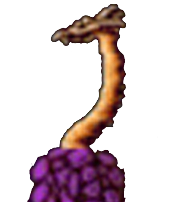 Space Dragon (Godzilla: Monster of Monsters!) | VS Battles Wiki | Fandom