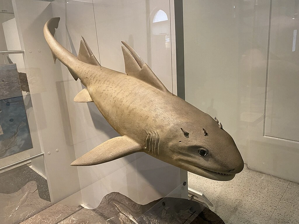 Hybodus | VS Battles Wiki | Fandom