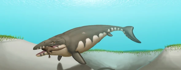 Mosasaurus (Real World) | VS Battles Wiki | Fandom