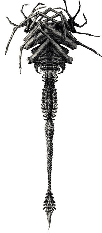 Praetomorph | VS Battles Wiki | Fandom