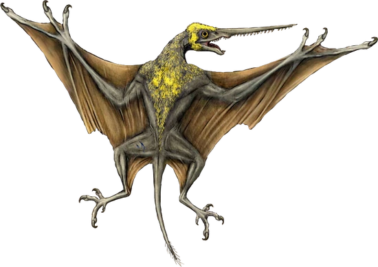 Leafwing | VS Battles Wiki | Fandom